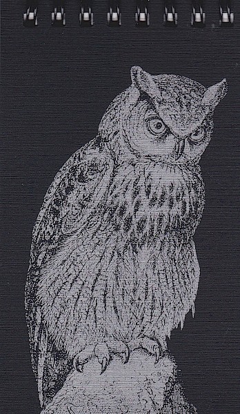 Eberhardt Press - Metallic Eagle Owl Notepad | Antiquated Future